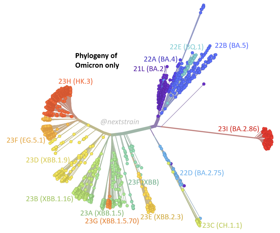 Nextstrain (@nextstrain@mstdn.science) - mstdn.science