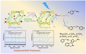 Molecular Cages (@Molecular_Cages@mstdn.science) - mstdn.science