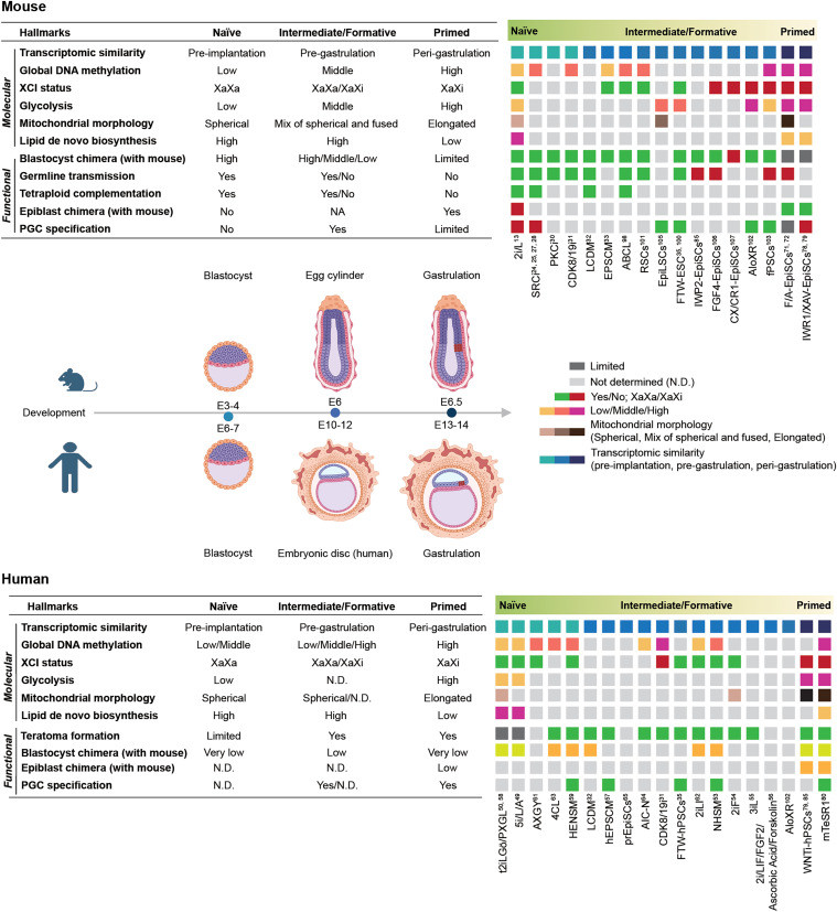 CRAIG M CREWS (@crews@mstdn.science) - mstdn.science