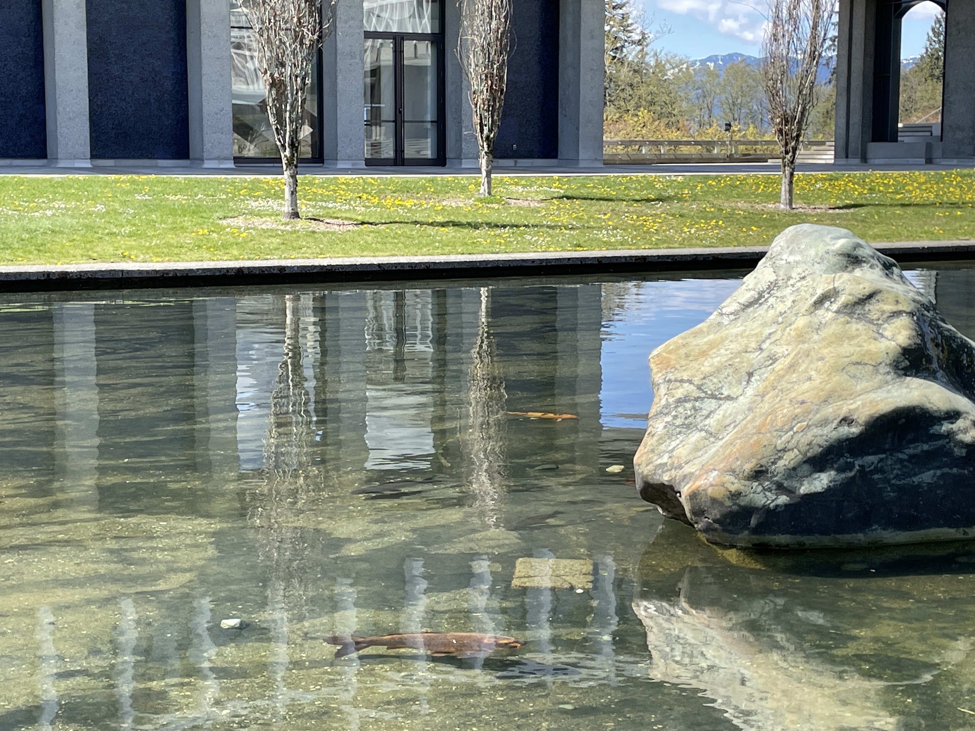 SFU Science (@sfuscience@mstdn.science) - mstdn.science