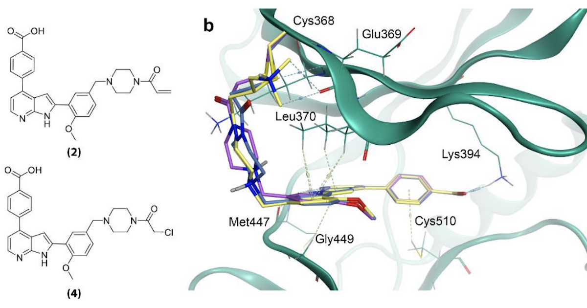 Covalent Modifiers (@covalentmod@mstdn.science) - mstdn.science