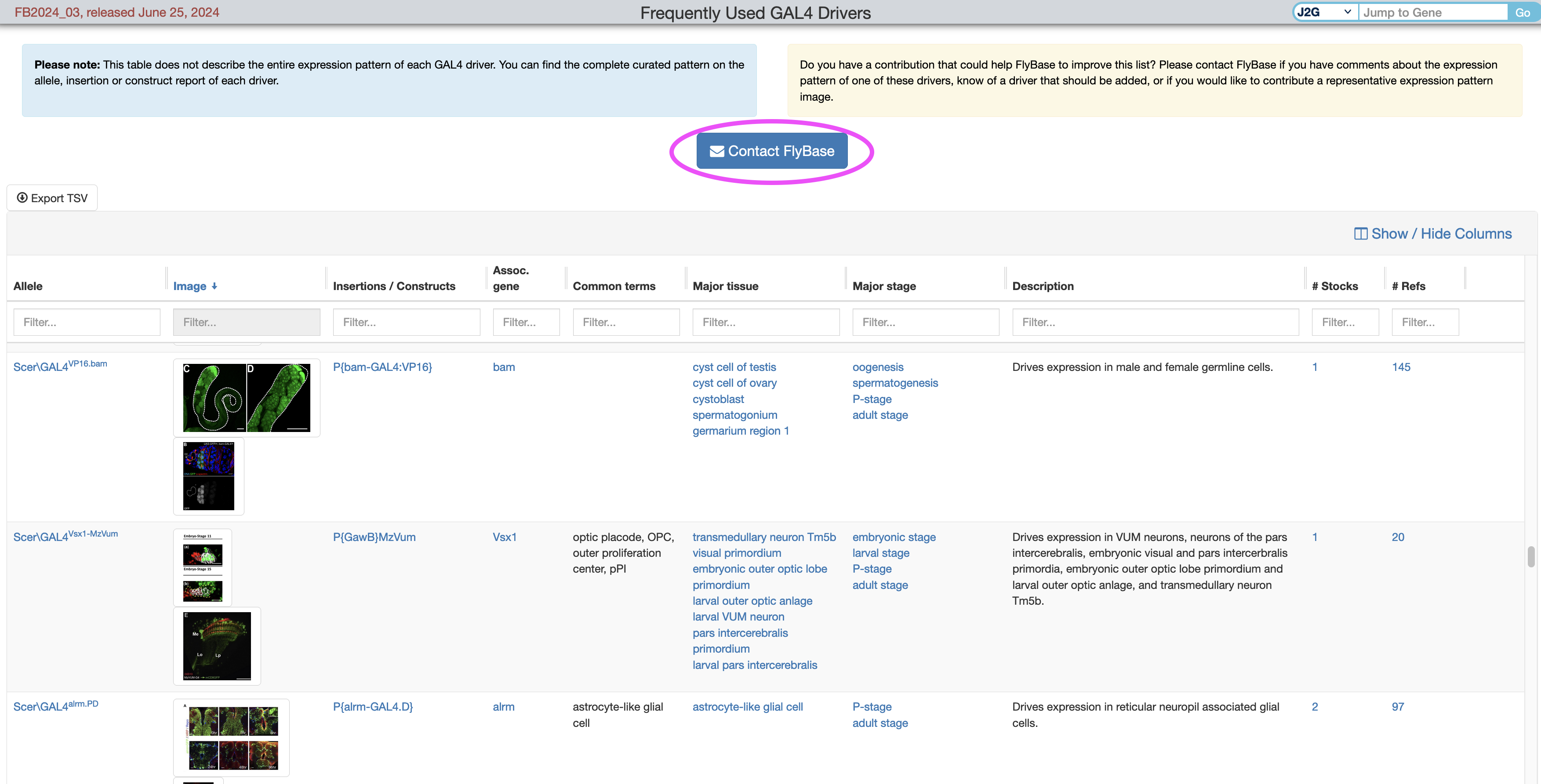 FlyBase (@FlyBase@mstdn.science) - mstdn.science