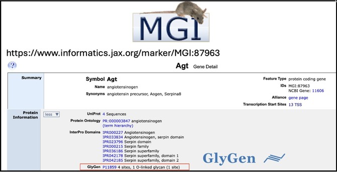 GlyGen