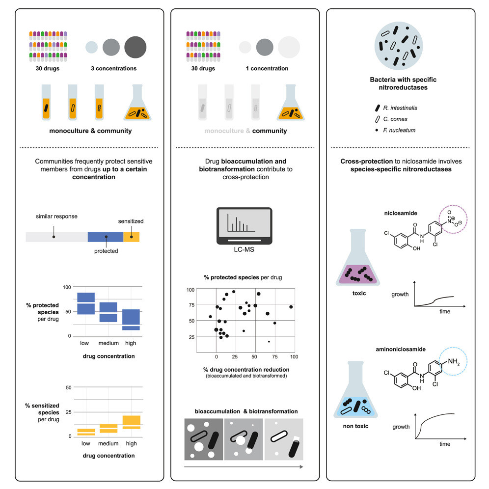 Bork Group at EMBL Heidelberg (@BorkLab@mstdn.science) - mstdn.science