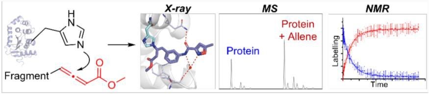 Chemistry Research (@organic_chemistry@mstdn.social) - Mastodon 🐘